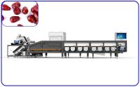 China 380V 8.5KW Dates Sorting Machine 16 Lanes AI Optical Grading Machine for sale