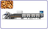 China Breakage Grading Sorting Machine for sale
