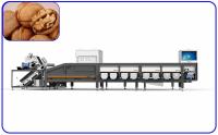 China Walnut Quick Grading Sorting Machine 6.3KW 6 Channel With AI Technology for sale