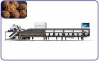 China Mechanical 16 Channel Walnut Sorter 2 T/H Optical Sorting Machine for sale