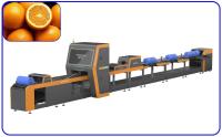 China Intelligent Orange Grading Machine 380V Stainless Steel Visual Sorting Machine for sale
