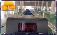 China Detect Sugar Mechanical Fruit Sorting Machine Intelligent 2 Channel Mango Sorter for sale