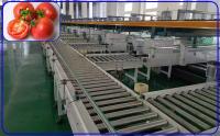 China Precise Tomato Size Sorting Machine 3 Channel Intelligent Electric Drive for sale