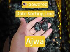 Smart Dates Sorting Machine With Deep-learning Technology, 8 lanes+10 outlets, Advanced Automatic Control, high capacity 2.6 Tons per hour