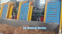 Walnut Kernel Multi-grade Sorting Machine, powered by AI, high accuracy labor saving ④