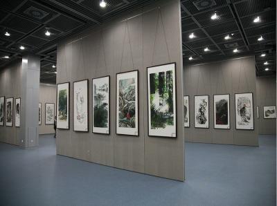Cina Muri divisori mobili smontabili moderni per economia di spazio del centro espositivo in vendita