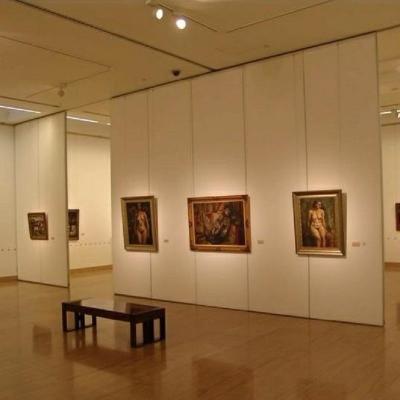 中国 会議場の仕切りアルミニウムの展覧会の隔壁のディバイダーのためのEbungeの高い仕切り 販売のため