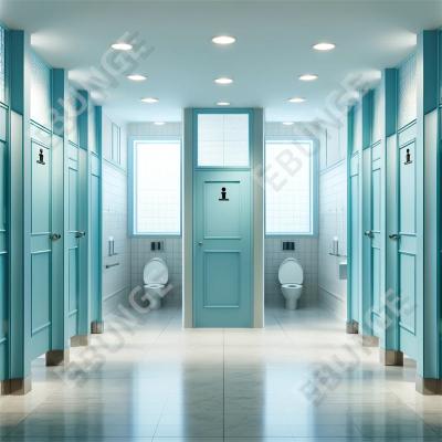 China High Pressure Laminate Toilet Partition Wall Easy And Fast Installation Scratch And Impact Resistant for sale