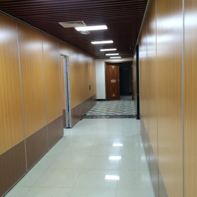 Cina Muri divisori mobili del ristorante di alluminio della struttura, divisori scorrevoli insonorizzati di multi colore in vendita