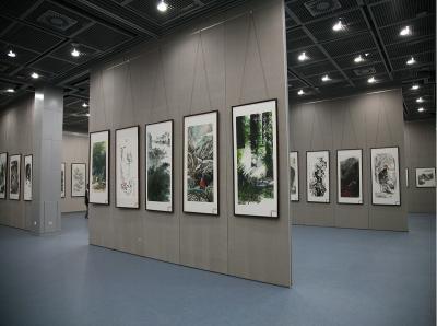 China Top Hanging Folding Sliding Partition Wall For Exhibition Hall / Art Gallery for sale