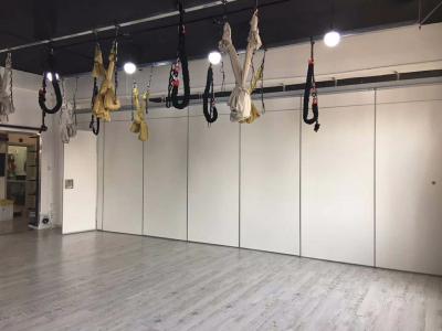 Cina Cubicoli modulari dell'ufficio commerciale della mobilia che fanno scorrere parete di separazione per la sala da ballo in vendita