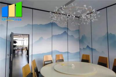 Cina Retractable Sliding Folding Acoustic Room Dividers With Pass Through Door in vendita