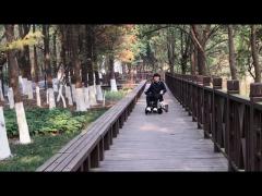 Brush Motor Light Collapsible Electric Wheelchair 120KG Load