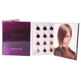 China hair color chart 9 for sale