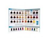 China hair color chart 22 for sale