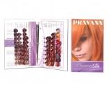 China DZD hair color chart-017 for sale