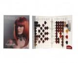 China DZD hair color chart-024 for sale