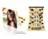 China DZD hair color chart-13-011 for sale
