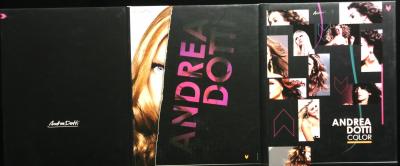 China DZD New color chart shiny loop hair with CYMK plus UV folder color chart for sale