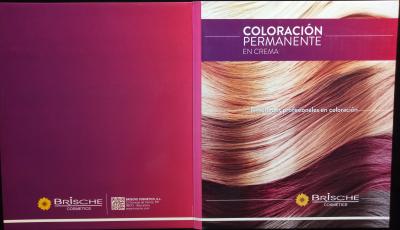 China DZD New color chart shiny loop hair with CYMK plus UV folder color chart with fifity colors for sale