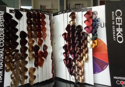 China DZD New color chart shiny loop hair with CYMK plus UV  with  one hundred and nine colors using iron clamp and iron ring for sale