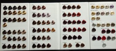 China New  color chart matt mix straight hair with CYMK  with  ninty colors for sale