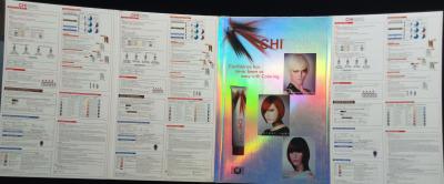 China DZD New color chart shiny loop hair with CYMK  folder color chart with ninety six detachable colors for sale