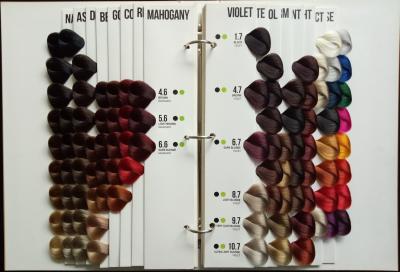 China DZD New color chart shiny hair with CYMK  folder color chart with ninety five colors plus iron clamp and ring for sale