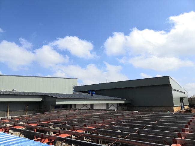 Customizable steel building options
