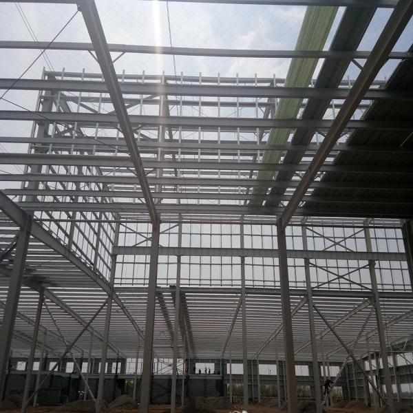Quality Custom Industrial Steel Structure Workshop with Fire Resistance for sale
