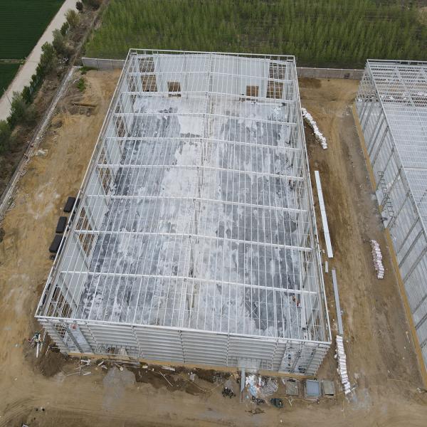 Quality Modern Steel Structure Building with Welded H Columns for sale