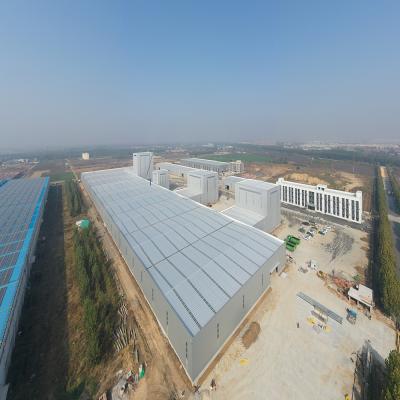 China Custom Steel Frame Factory Warehouse Q355B Structure for sale