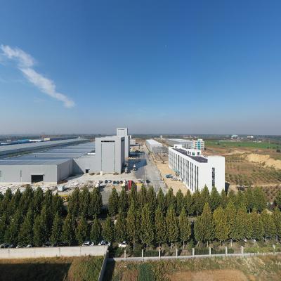 China Custom Steel Frame Factory Warehouse Q355B Structure for sale