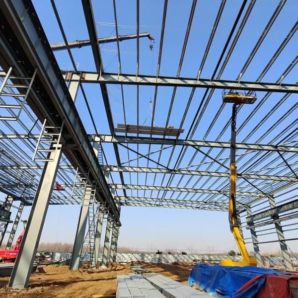Quality Custom Steel Frame Factory Warehouse Q355B Structure for sale