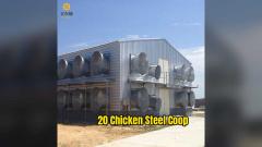 20 Chicken Steel Farm House Easy Build