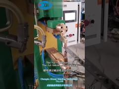 PLC de Automatische Machine van de Nootvoeder met 260mm Goedgekeurde Kom ISO