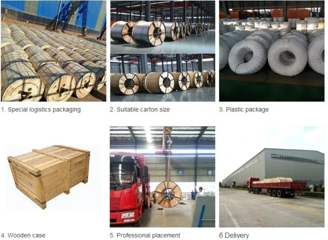 ASTM Standard Electric Cable ACSR/AAC/AAAC/ABC Cable Bare Conductor Aluminum Conductor
