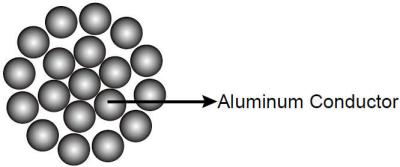 China AAC Tarantula Coreopsis All Aluminium Conductor Table Size for sale