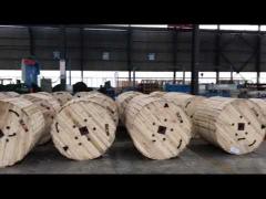 ASTM 70 12 795 95 15 Acsr Kabelgeleider van kaal aluminium