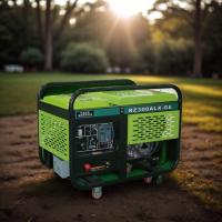Quality End Gasoline Welding Generator ProCraft 300 WeldGen for Enhanced Control and for sale