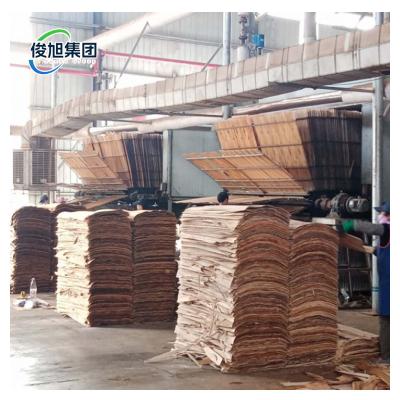China 22.0 kW Power Sheet Metal Drying Equipment for Multi-layer Drying of Veneer Wood for sale