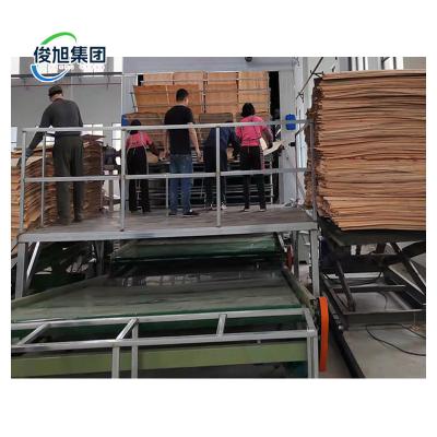 China 22.0 kW Wood Veneer Dryer The Perfect Solution for Wood Chip Drying Efficiency for sale