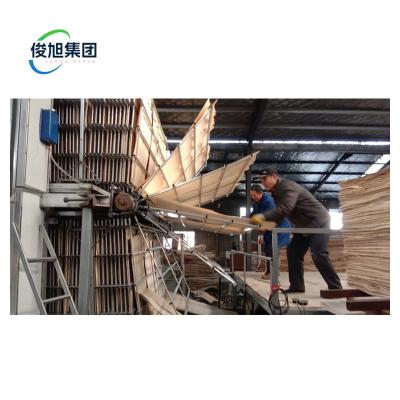 China Heavy Industry Fully Automatic Veneer Wood Wall Panel Sheet Desiccation for sale