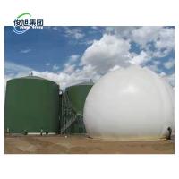 China 99% Purification Efficiency 5000 kg Biogas Desulfurization Tower for Purification for sale