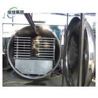 China Drying process Continuous Automatic Drying Junxu Freeze Drying Equipment for Fruits for sale