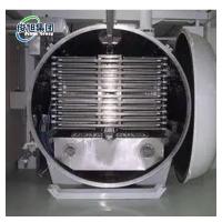 China Drying process Continuous Automatic Drying Junxu Freeze Drying Equipment for Fruits for sale