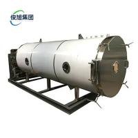 China Drying process Continuous Automatic Drying Junxu Freeze Drying Equipment for Fruits for sale