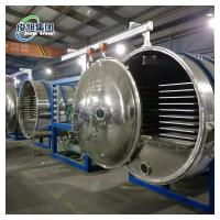 China Drying process Continuous Automatic Drying Junxu Freeze Drying Equipment for Fruits for sale