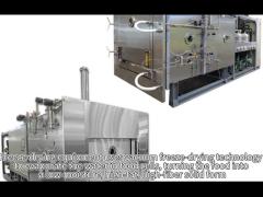 Máquina de secagem por congelamento para armazenamento de alimentos especificações completas para resfriamento secagem desumidade