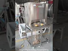 Economisch multifunctionele schilmachine voor de verwerking van fruit